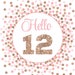 Hello 12 Sign Printable Pink and Rose Gold 12th Birthday Table Sign ...