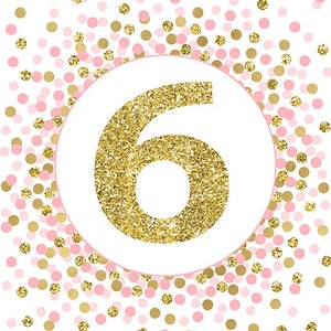 Number 6 Sign Printable Pink and Gold 6th Birthday Decorations Gold ...