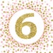 Number 6 Sign Printable Pink and Gold 6th Birthday Decorations Gold ...
