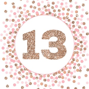 Number 13 Sign Printable Pink Rose Gold Confetti 13th Birthday Party ...