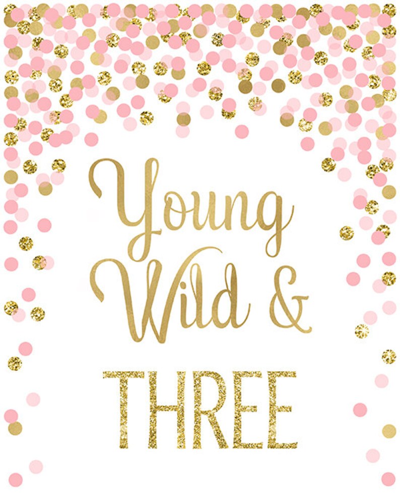 Young Wild and Three Sign Printable Third Birthday Party Decor - Etsy