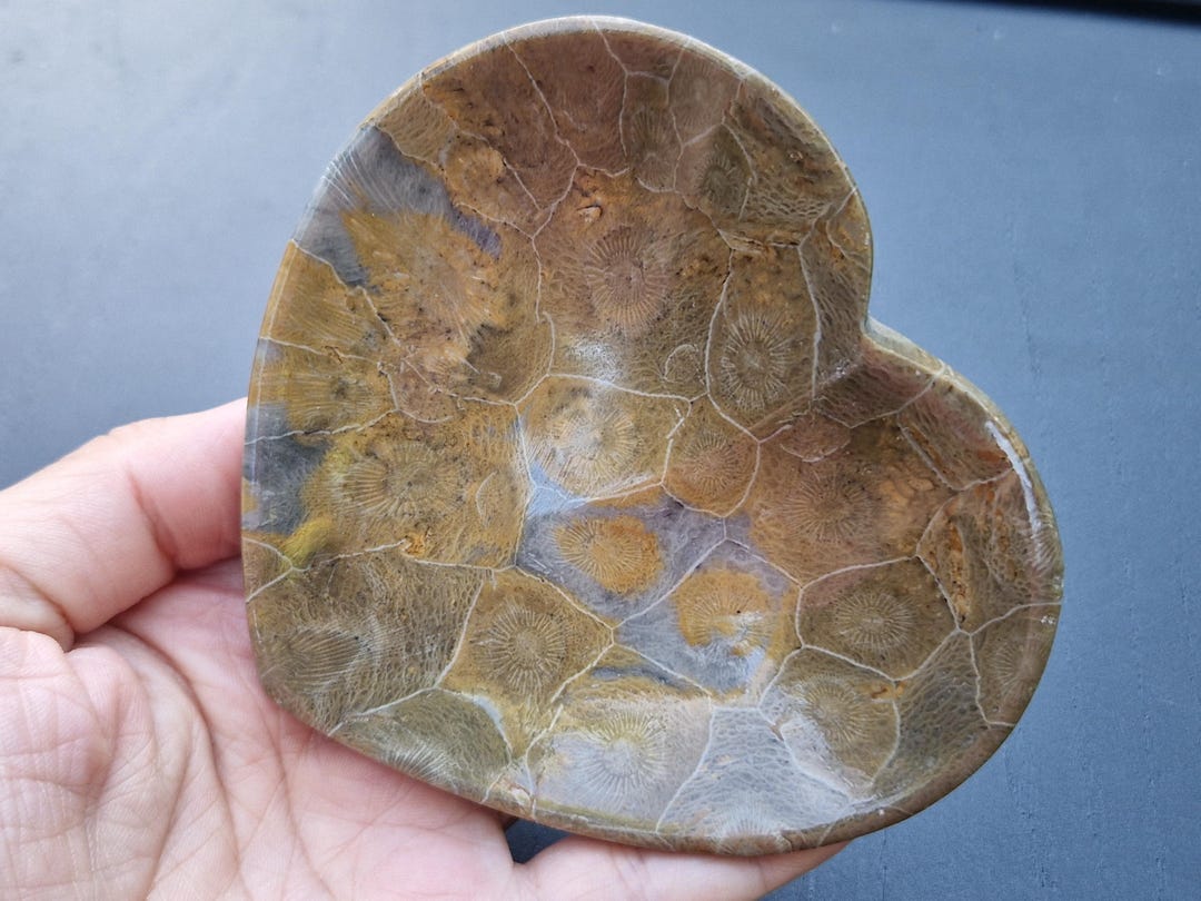 Fossil Coral Heart Dish Gorgeous Heart Bowl Smudging Dish Trinket Dish ...