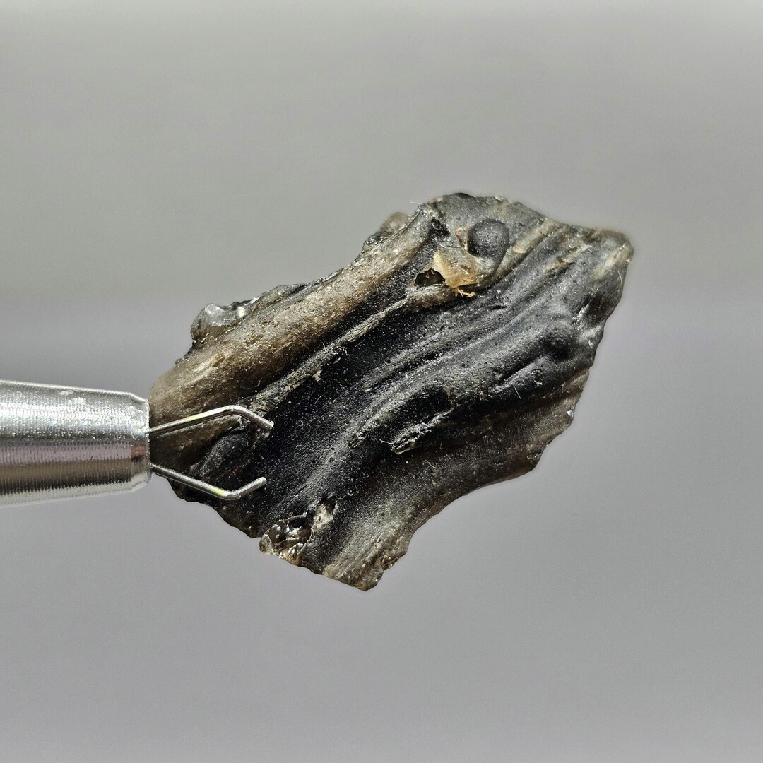 Rare Darwinite Tektite - Darwin Glass - Tasmanian Tektite - High ...