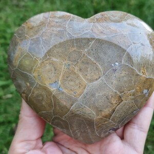 Fossil Coral Heart Dish Gorgeous Heart Bowl Smudging Dish Trinket Dish ...
