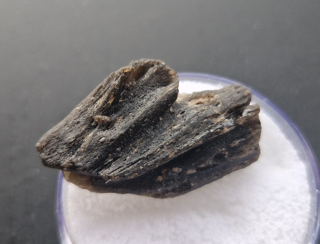 Rare Darwinite Tektite Darwin Glass Tasmanian Tektite - Etsy