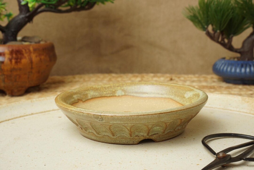 Handmade Green Bonsai Mame Dish. G2186 - Etsy
