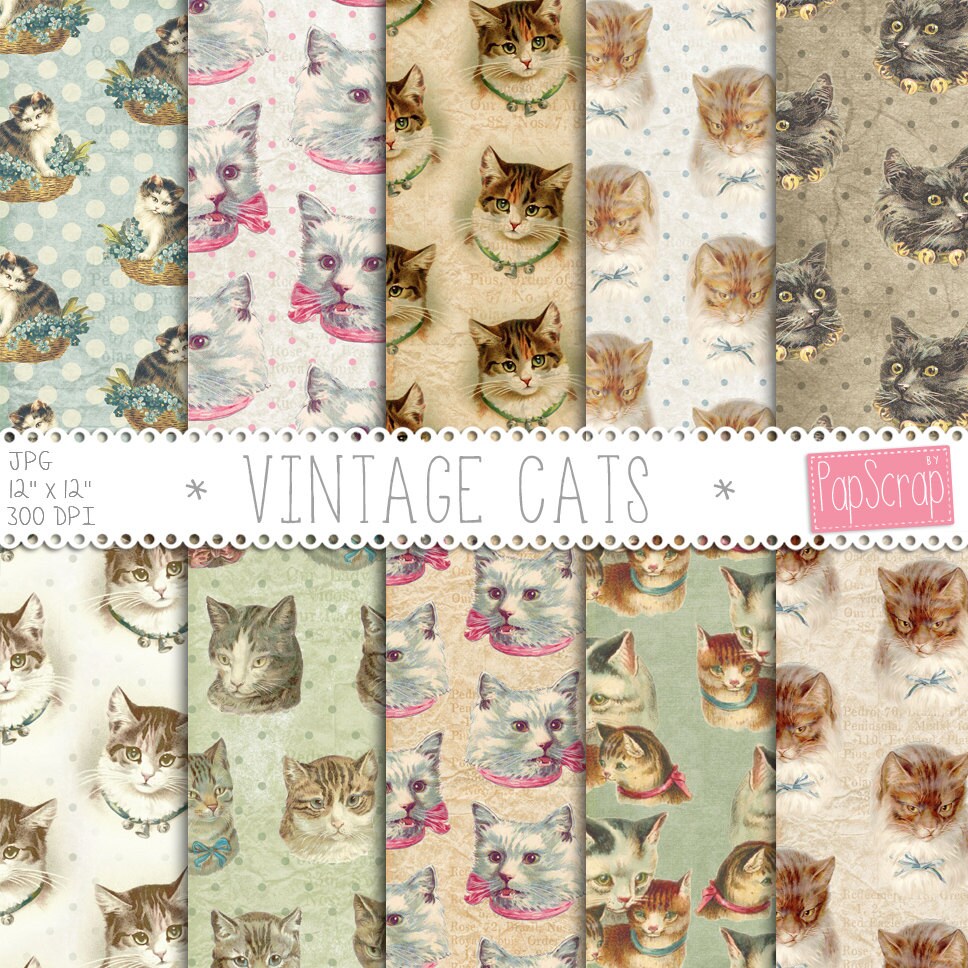 Cat Digital Paper