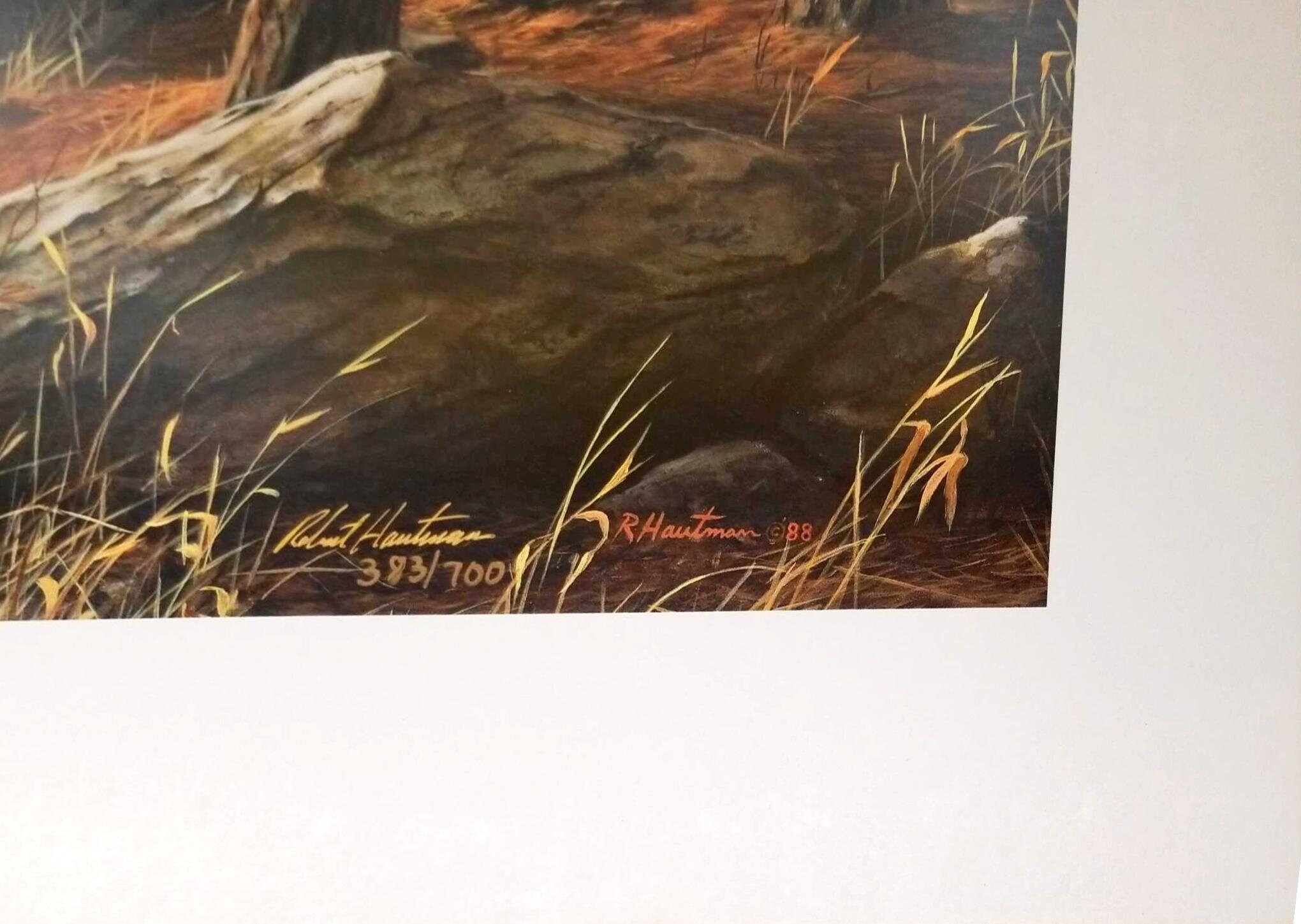 Robert Hautman Northern Whitetail Lithograph – Vintage Deer Wildlife ...
