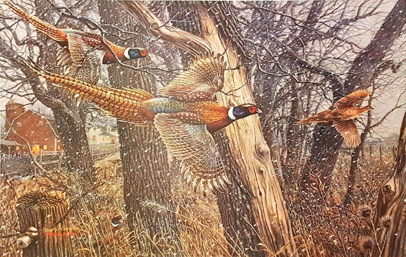 James Meger "storm Warning" Lithograph | Ring-necked Pheasants, 1990 - Etsy
