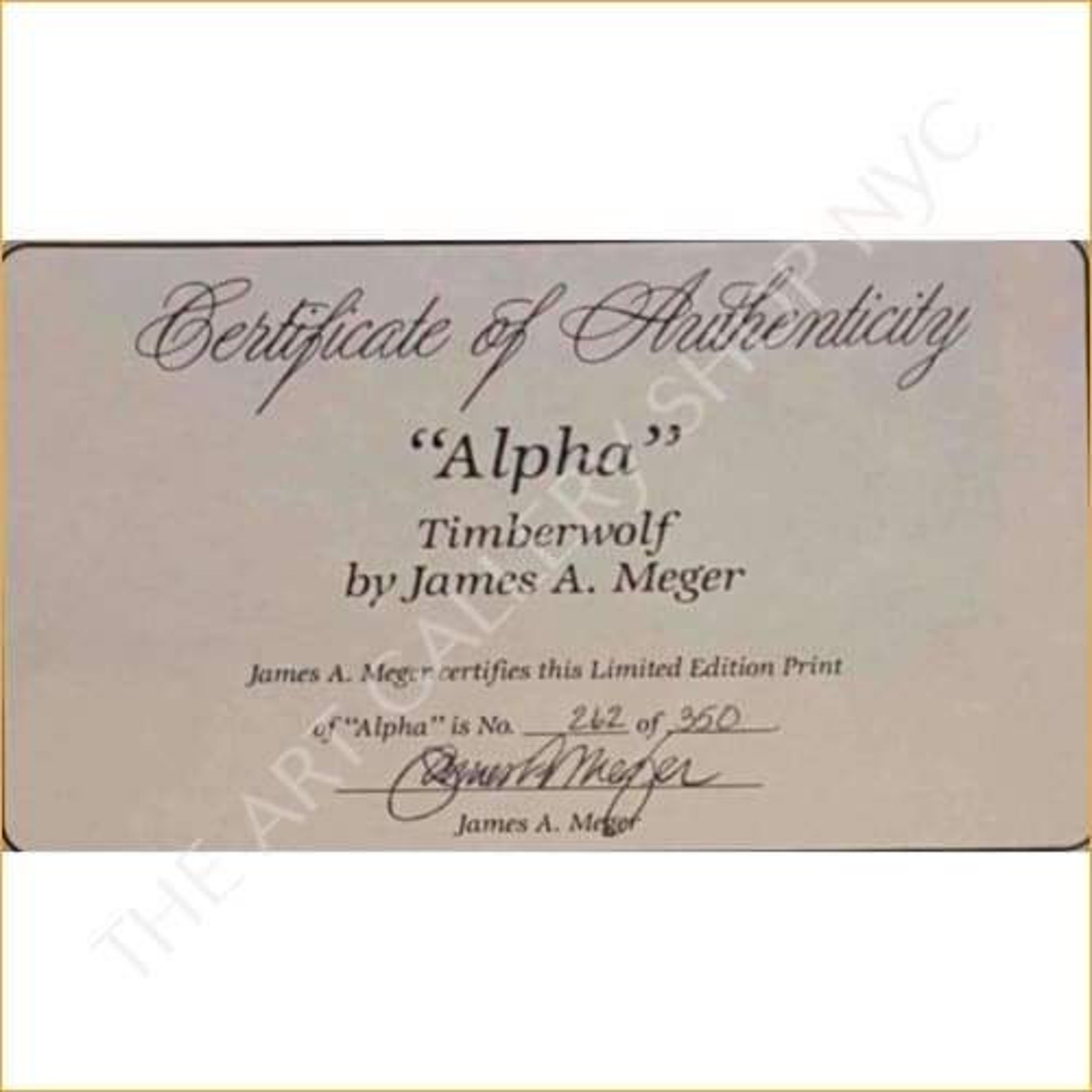 James Meger Alpha Timberwolf 1990 Original Lithograph | Etsy
