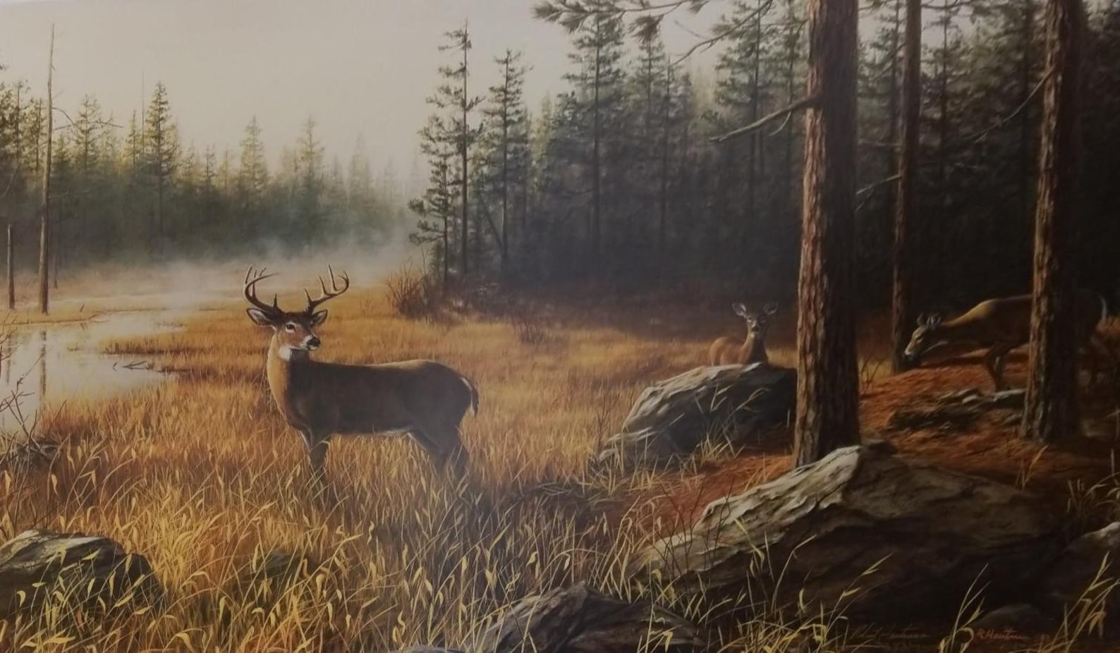 Robert Hautman Northern Whitetail Lithograph – Vintage Deer Wildlife ...