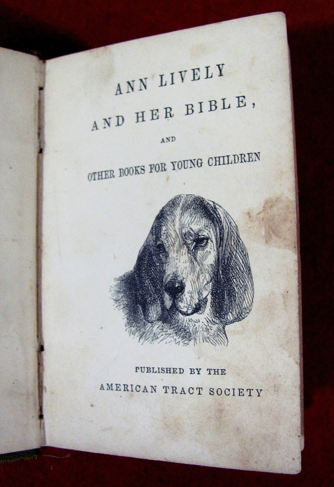 The History of Ann Lively and Her Bible and Other Stories for Young ...