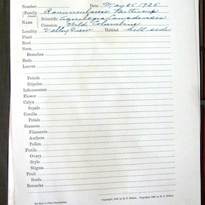 Herbarium & Plant Descriptions 13 Botanical Specimens by Edward T ...