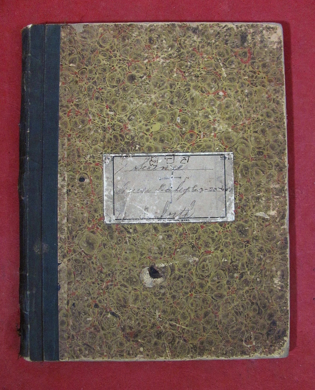Antique Science Handwritten Notebook Belonging to Student Louise Daley ...