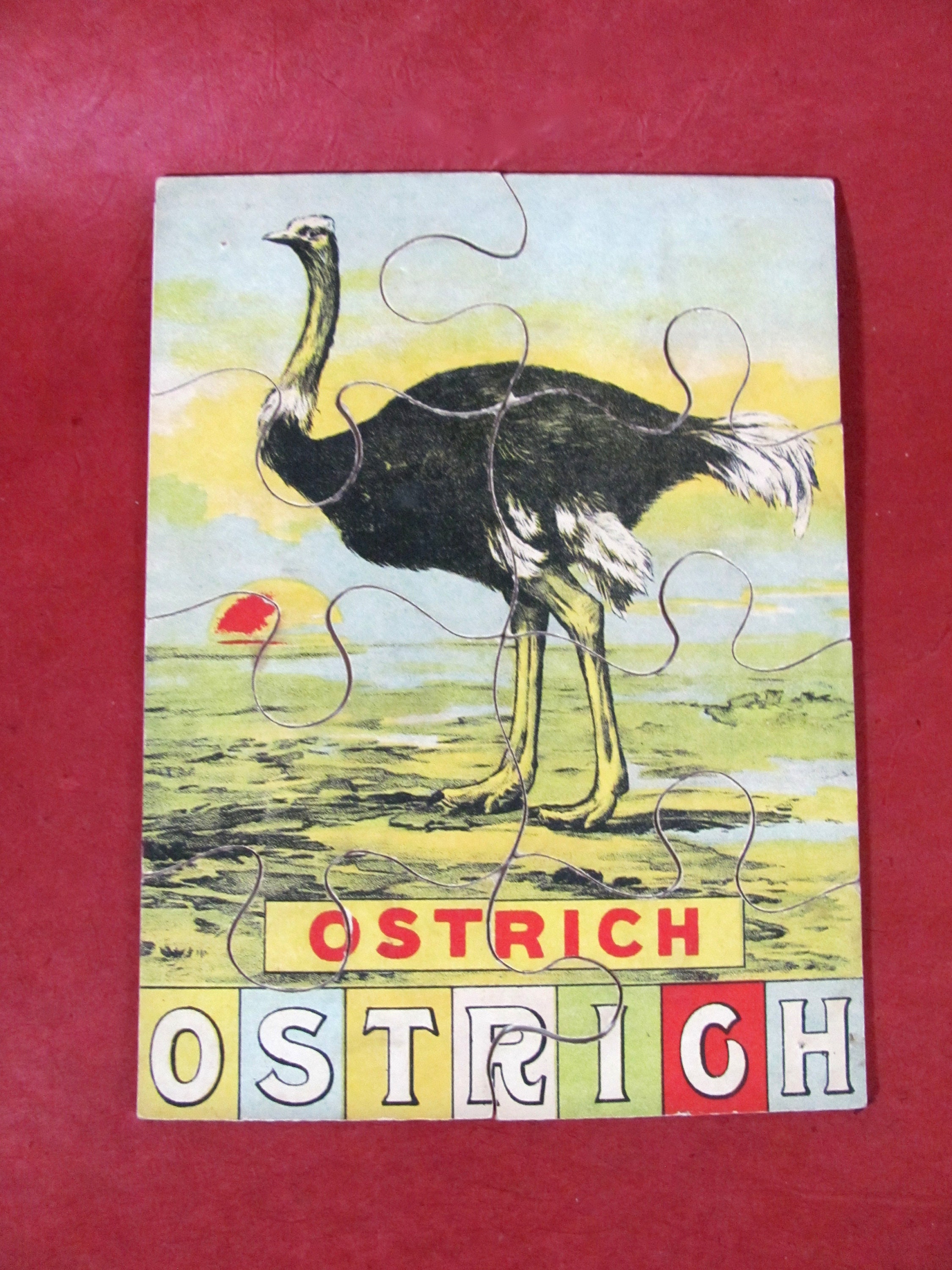 Antique Ostrich Jigsaw Puzzle Lithograph 8 Interlocking Pieces Antique ...
