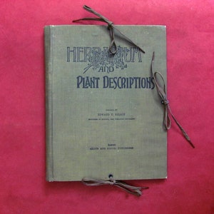 Herbarium & Plant Descriptions 13 Botanical Specimens by Edward T ...