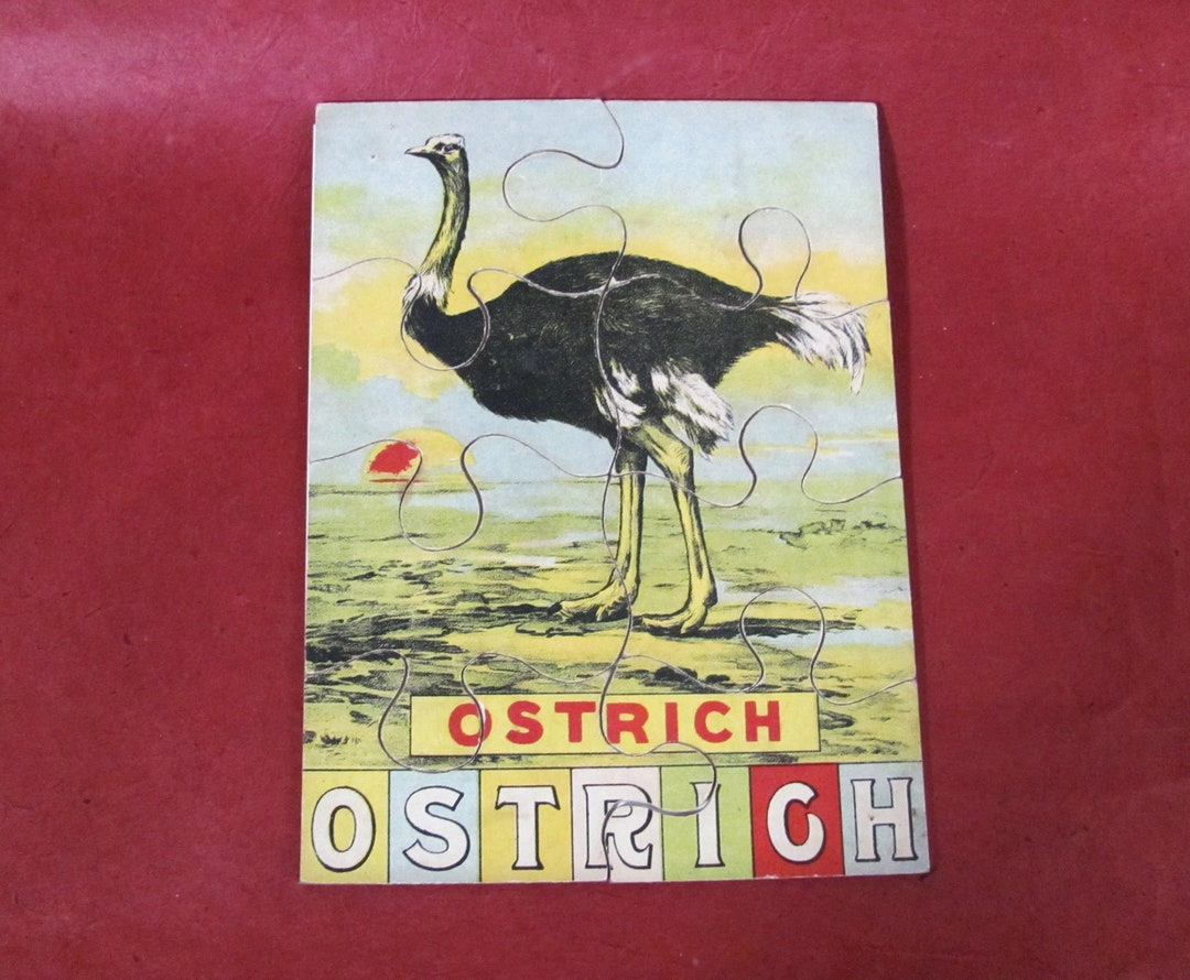 Antique Ostrich Jigsaw Puzzle Lithograph 8 Interlocking Pieces Antique ...