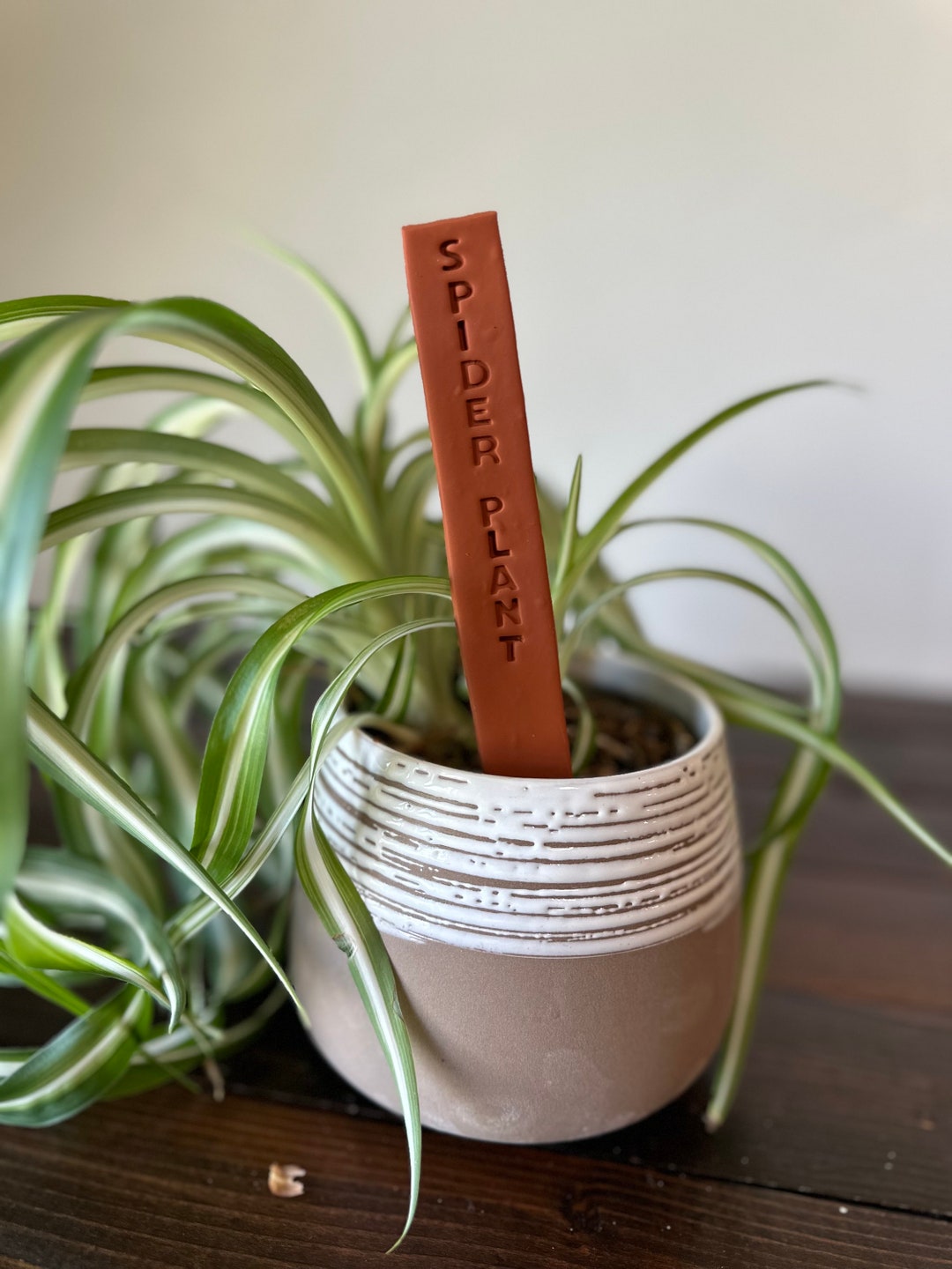 Houseplant Clay Garden Markers, Handmade Clay Plant Markers - Etsy