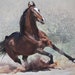 Color Photograph Western Running Horse Sharp Turn Stallion - Etsy