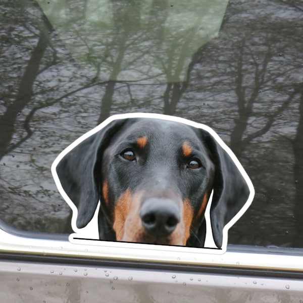 Doberman Ears Sticker - Etsy
