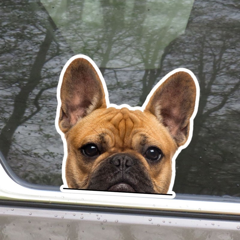 French Decals - Etsy