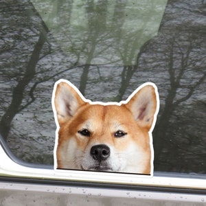 Peeking Red Shiba Inu Car Decal Sticker / Realistic Shiba Inu Dog Head ...