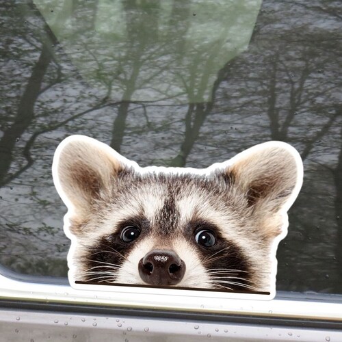 Raccoon Decal Vinyl Car Decal Window Decal Laptop Decal | Etsy