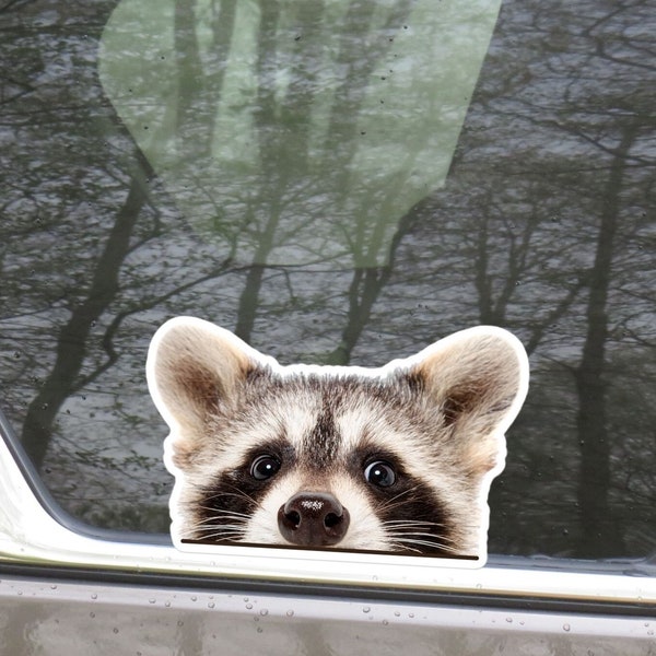 Funny Car Decals Raccoon - Etsy