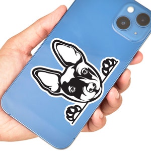 Rat Terrier Car Sticker Decal / Peeking Realistic Rat Terrier Dog Head ...