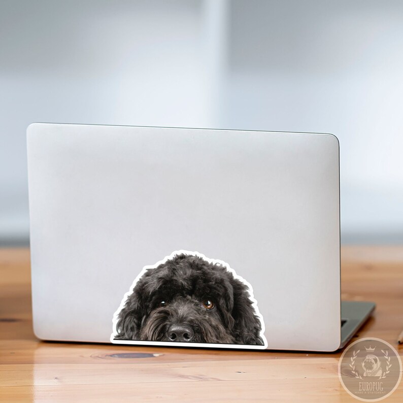 Black Cockapoo Car Decal - Peeking Dog Waterproof Vinyl Sticker - Etsy