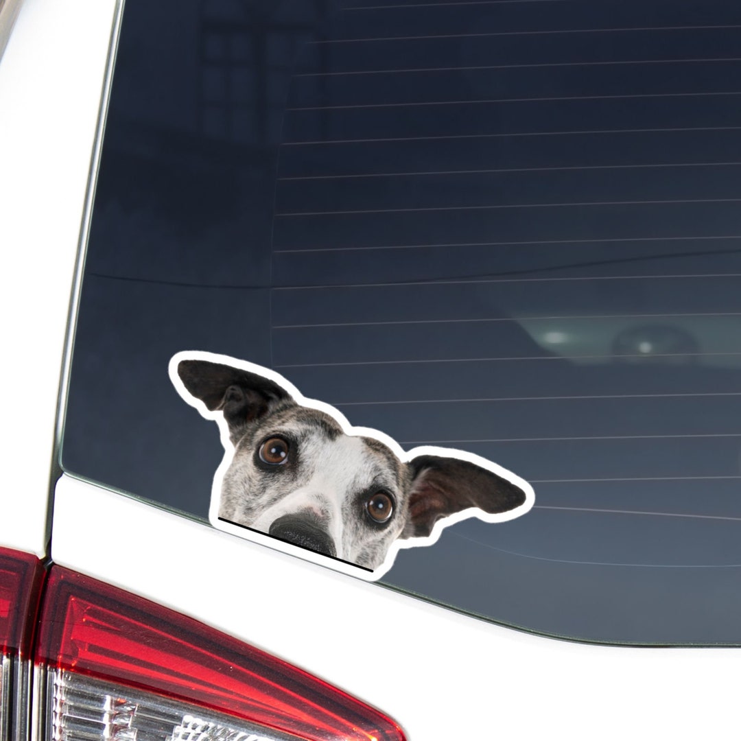 Whippet Car Decal Sticker / Realistic Blue Brindle White Parti Whippet ...