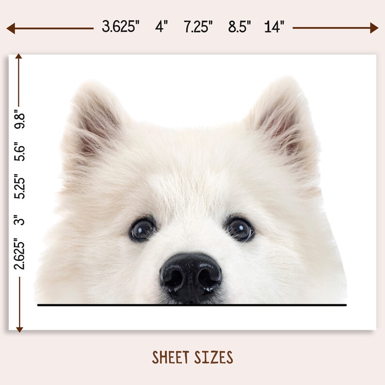 Realistic Samoyed Car Decal Sticker / Kawaii Peeking Samoyed - Etsy