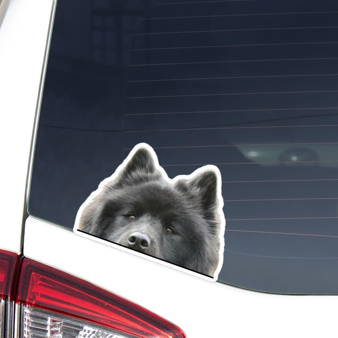 Eurasier Car Decal: Peeking Realistic Dog Face, Waterproof Vinyl ...