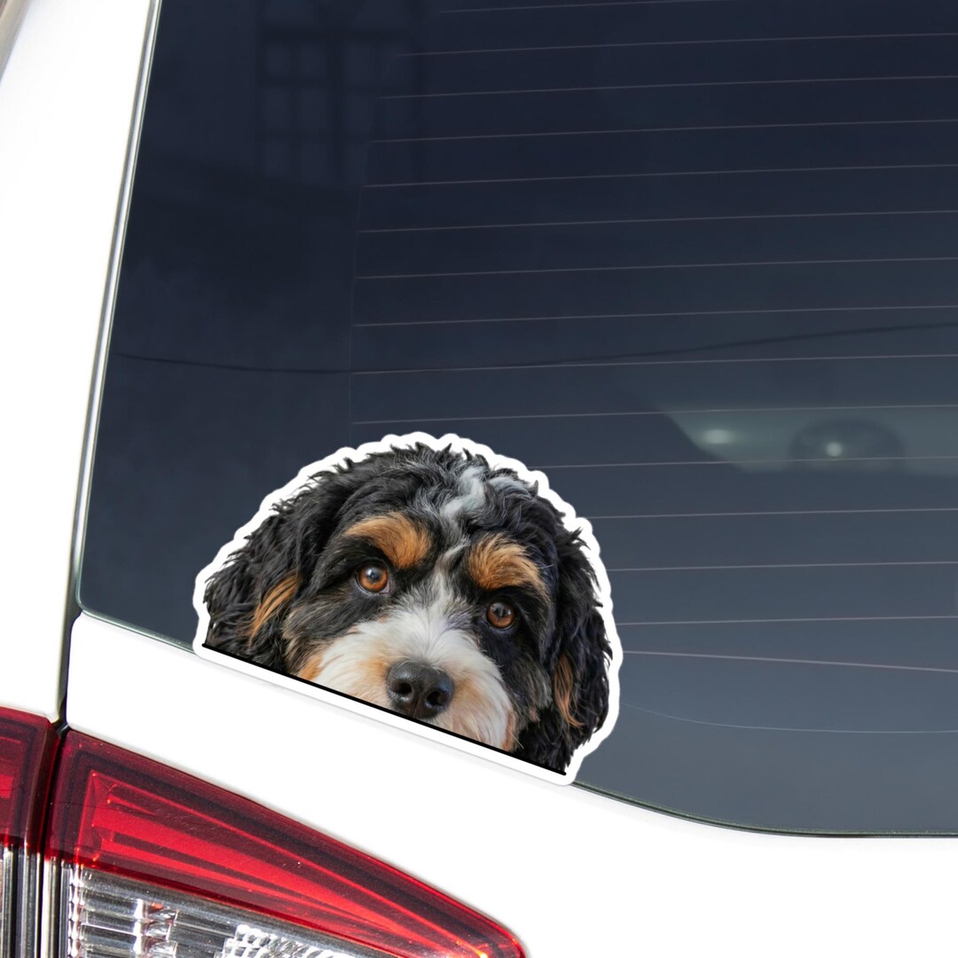 Tricolor & White Cavapoo Car Decal: Peeking Dog Head Waterproof Sticker ...