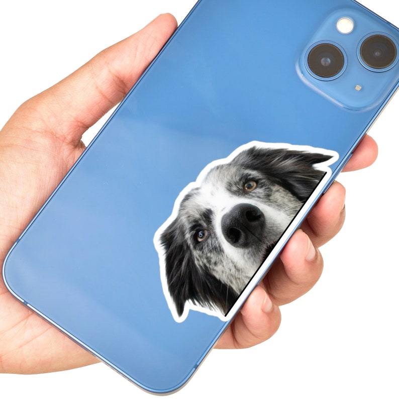 Peeking Border Collie Car Sticker Decal / Realistic Blue Merle - Etsy