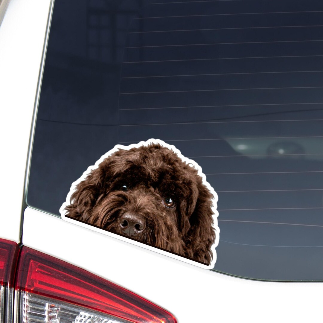 Chocolate Cockapoo Car Decal: Peeking Dog Head Waterproof Sticker - Etsy