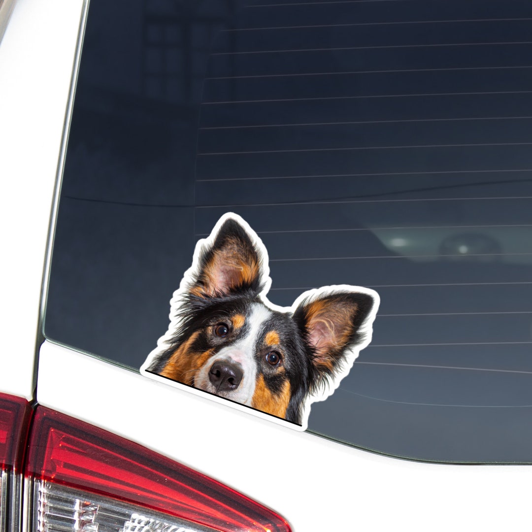 Peeking Border Collie Car Sticker Decal / Realistic Black Tri Dog Head ...