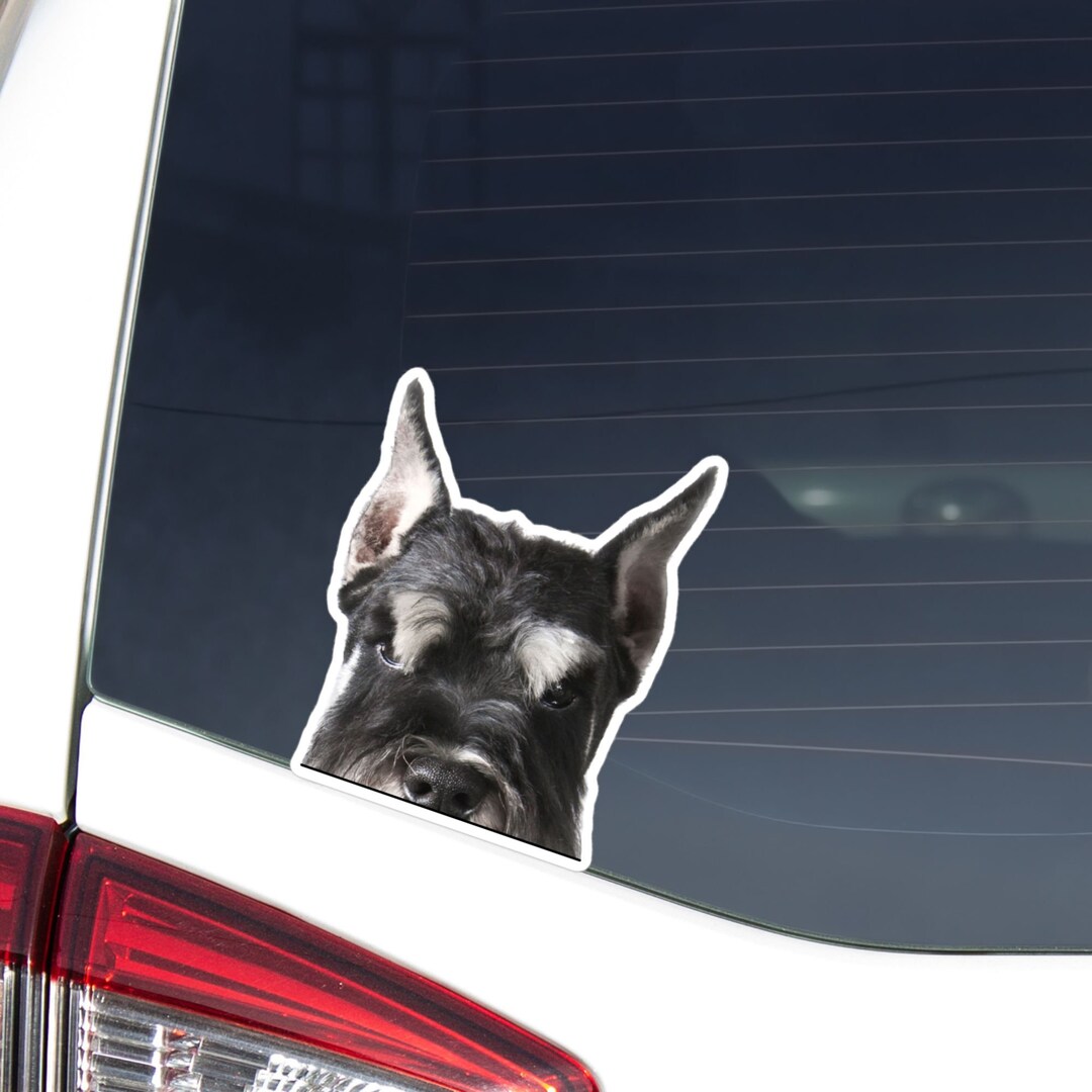 Giant Schnauzer Car Decal - Peeking Riesenschnauzer Cropped Ears Dog ...