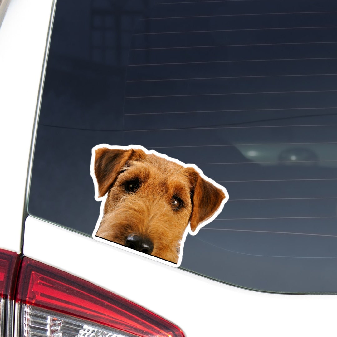 Airedale Terrier Car Sticker Decal / Peeking Realistic Airedale Dog ...