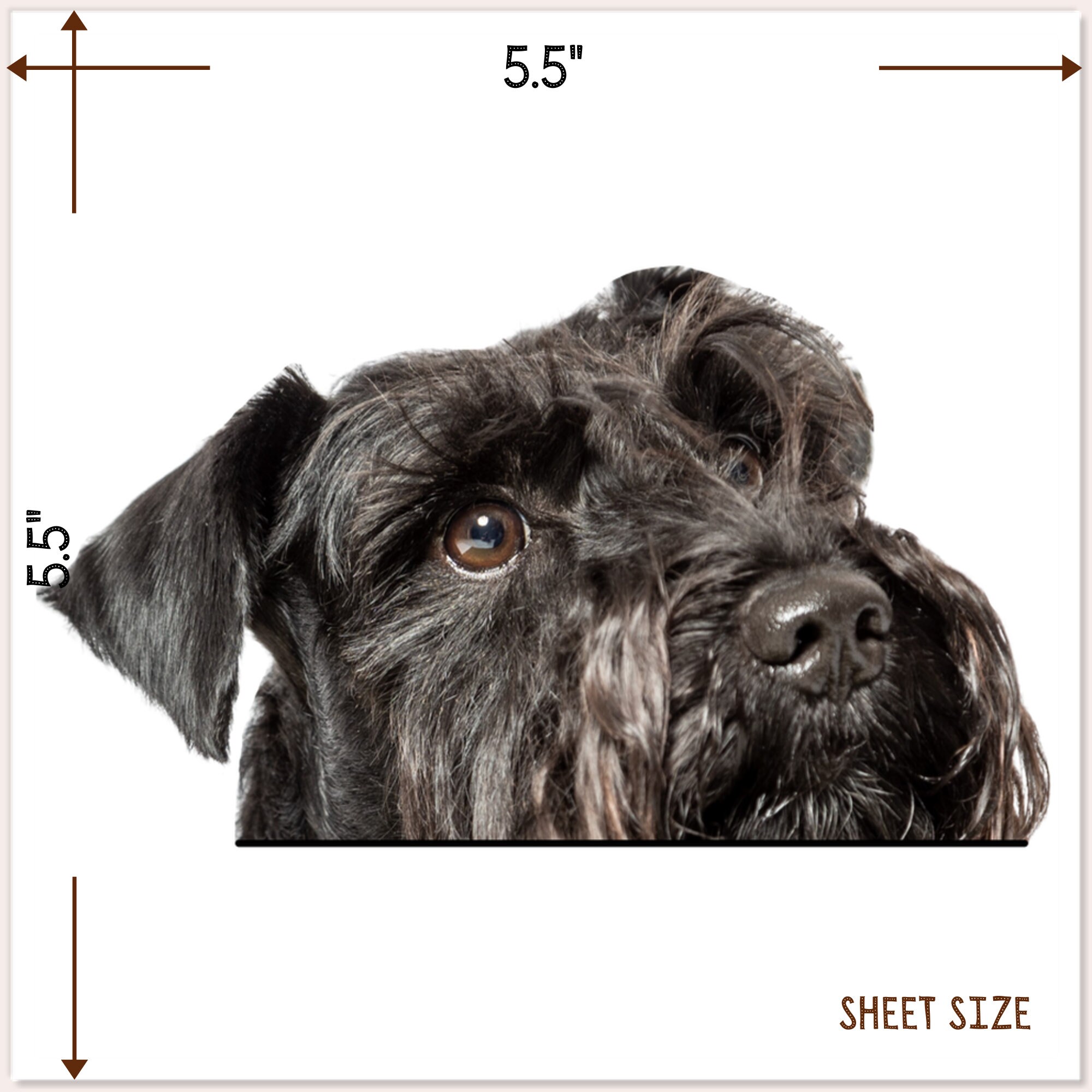 Miniature Schnauzer Car Decal - Peeking Black Dog Head Sticker - Etsy