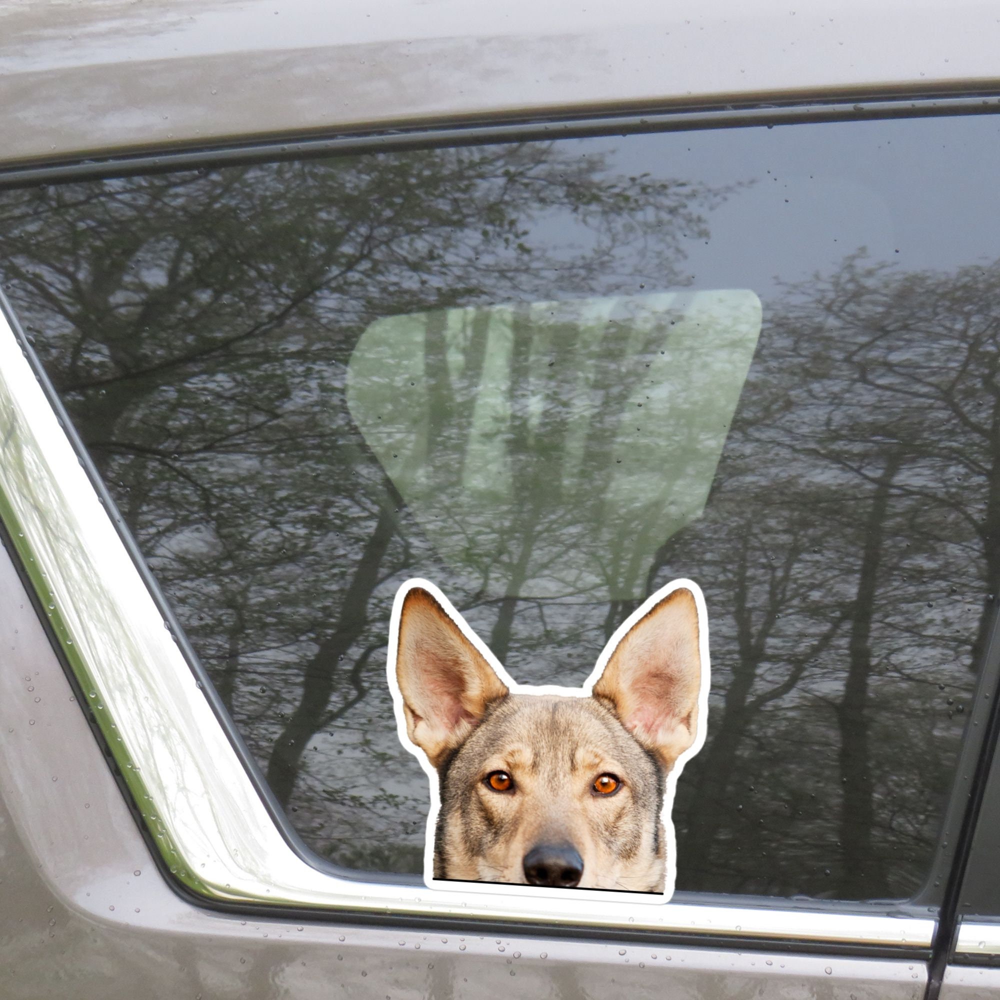 Czechoslovakian Wolfdog Car Decal: Peeking Vlcak Head, Waterproof Vinyl ...