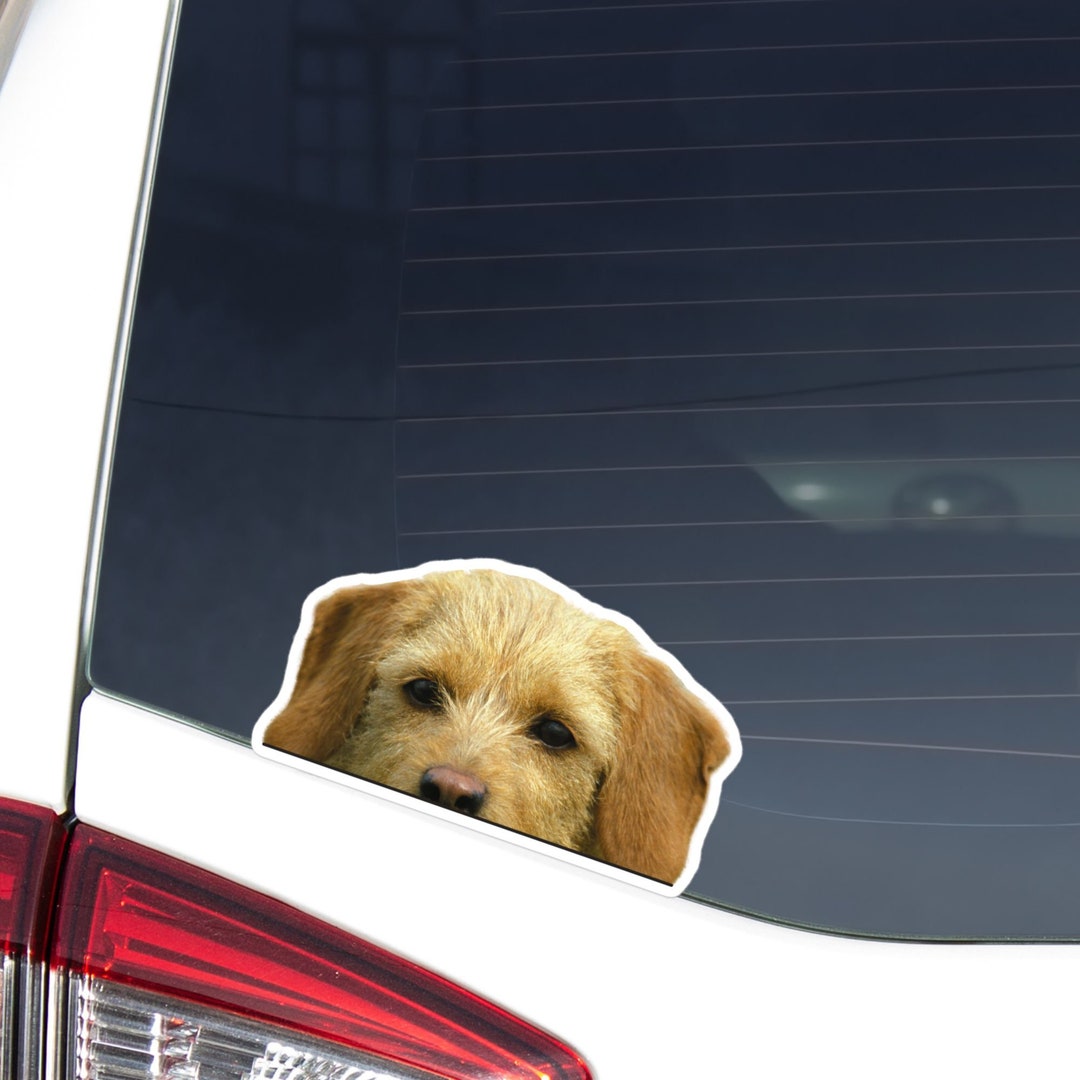 Basset Fauve De Bretagne Car Decal Sticker / Peeking Fawn Dog Head ...
