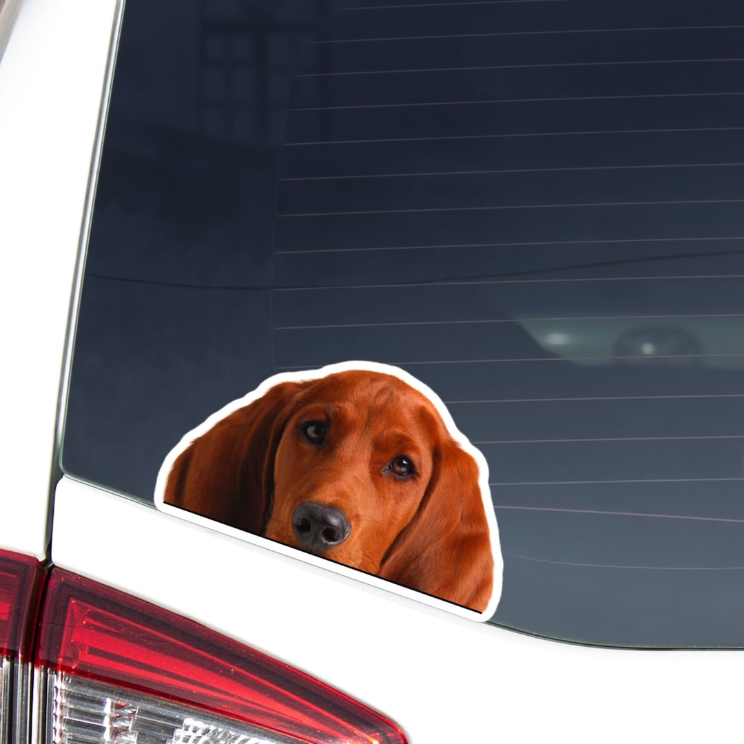 Redbone Coonhound Car Decal: Realistic Peeking Dark Red Dog Sticker - Etsy