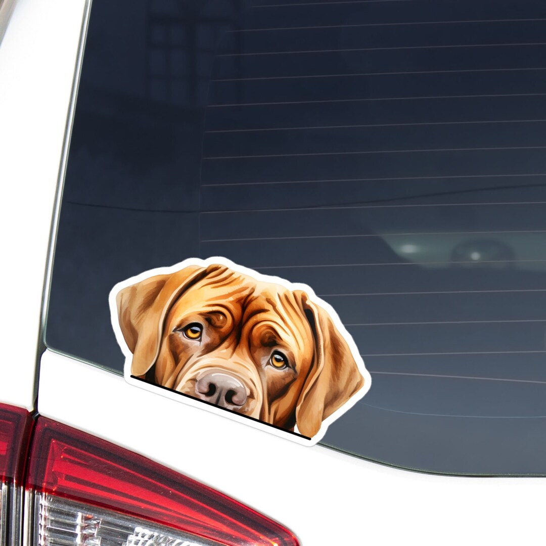 Dogue De Bordeaux Car Decal: Peeking Fawn Dog Head Waterproof Sticker ...