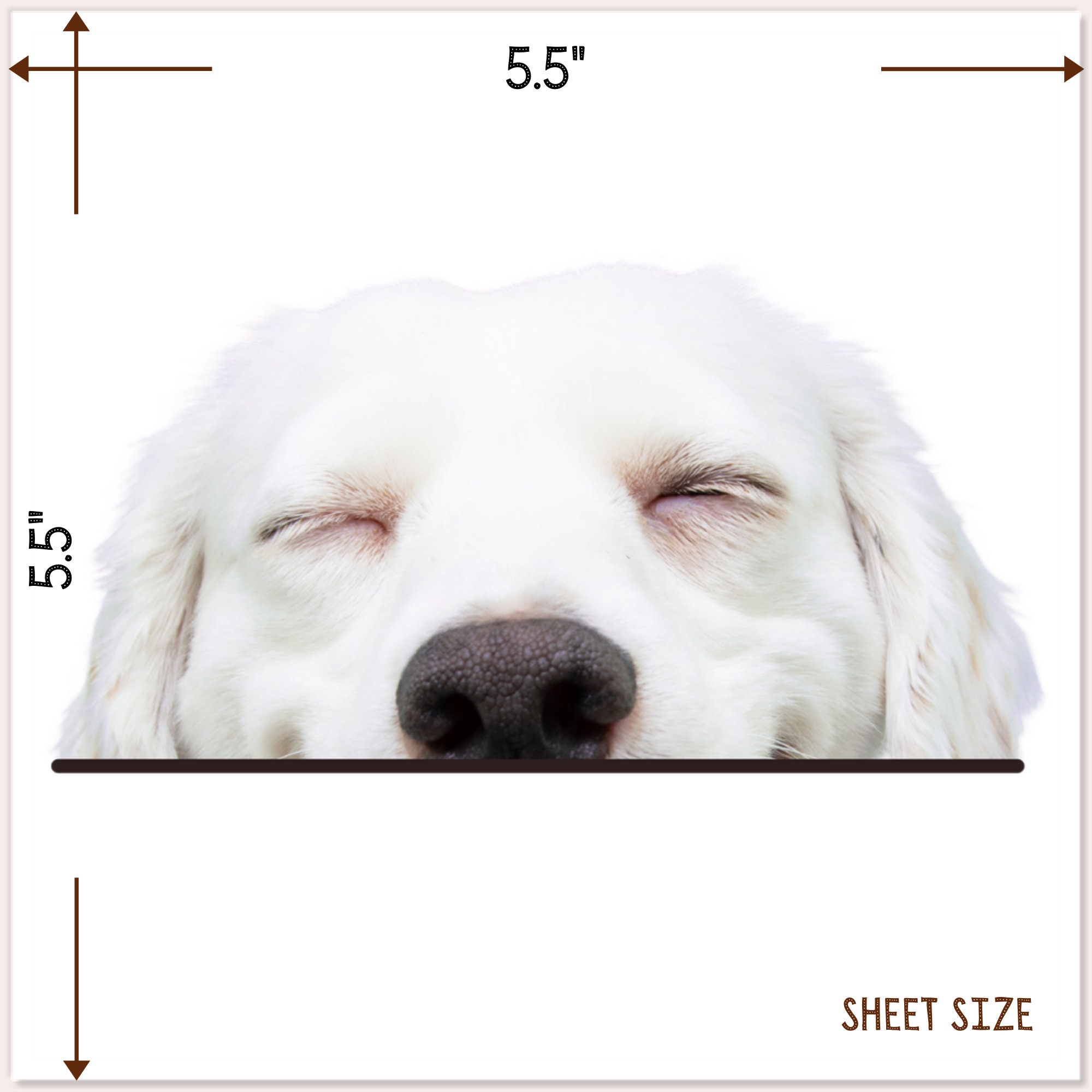 Peeking Labrador Retriever Car Decal Sticker / Realistic White - Etsy