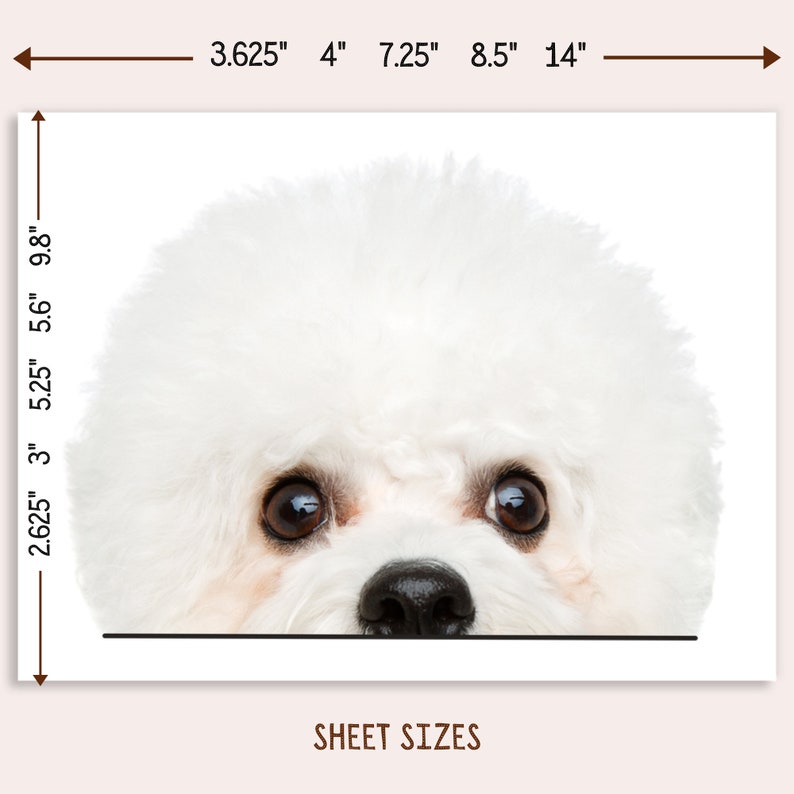 Bichon Frise Car Decal: Peeking Dog Face, Waterproof Vinyl Sticker ...