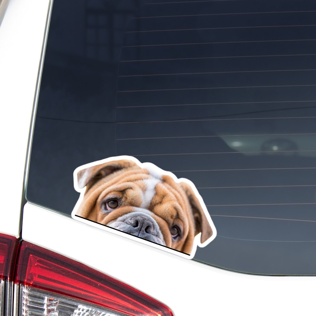 English Bulldog Car Decal: Peeking Red White Dog Head, Waterproof ...