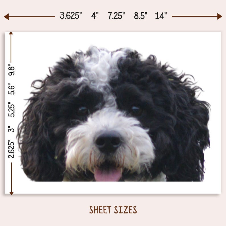 Black White Cavapoo Car Decal Sticker / Peeking Realistic Cavapoo Dog ...