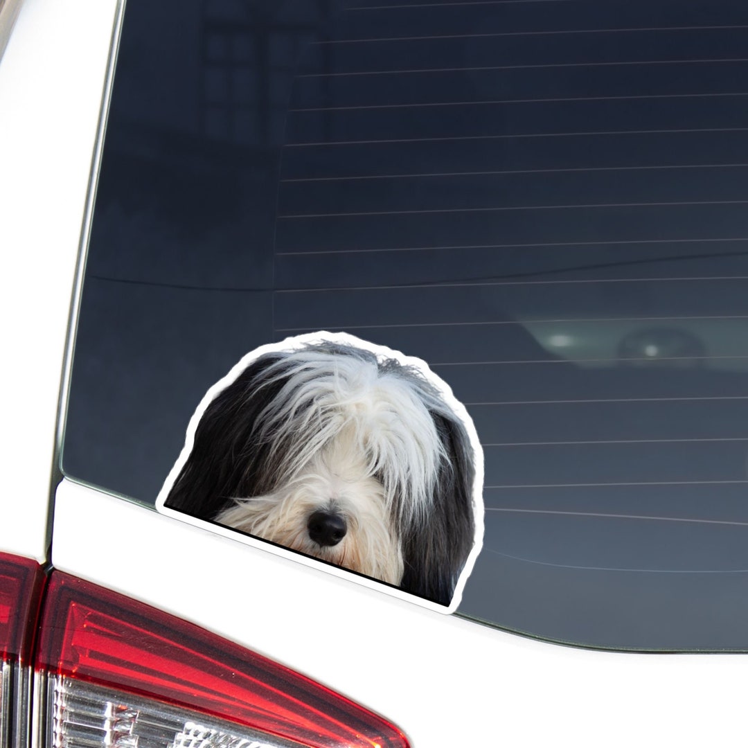 Black Bearded Collie Car Decal Sticker / Peeking Beardie Dog Head Face ...