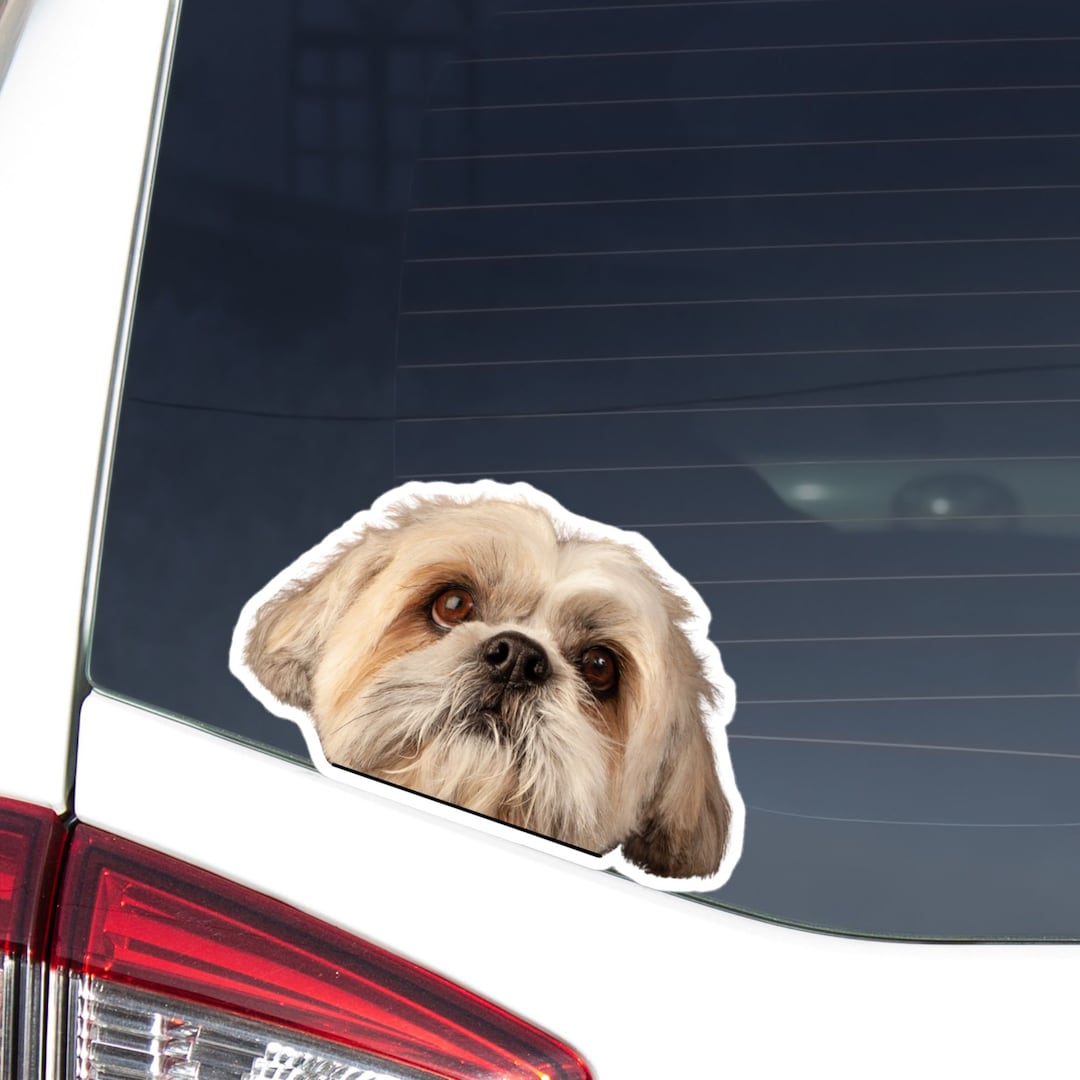 Gold Shih Tzu Car Decal - Peeking Dog Head, Waterproof Vinyl Sticker ...